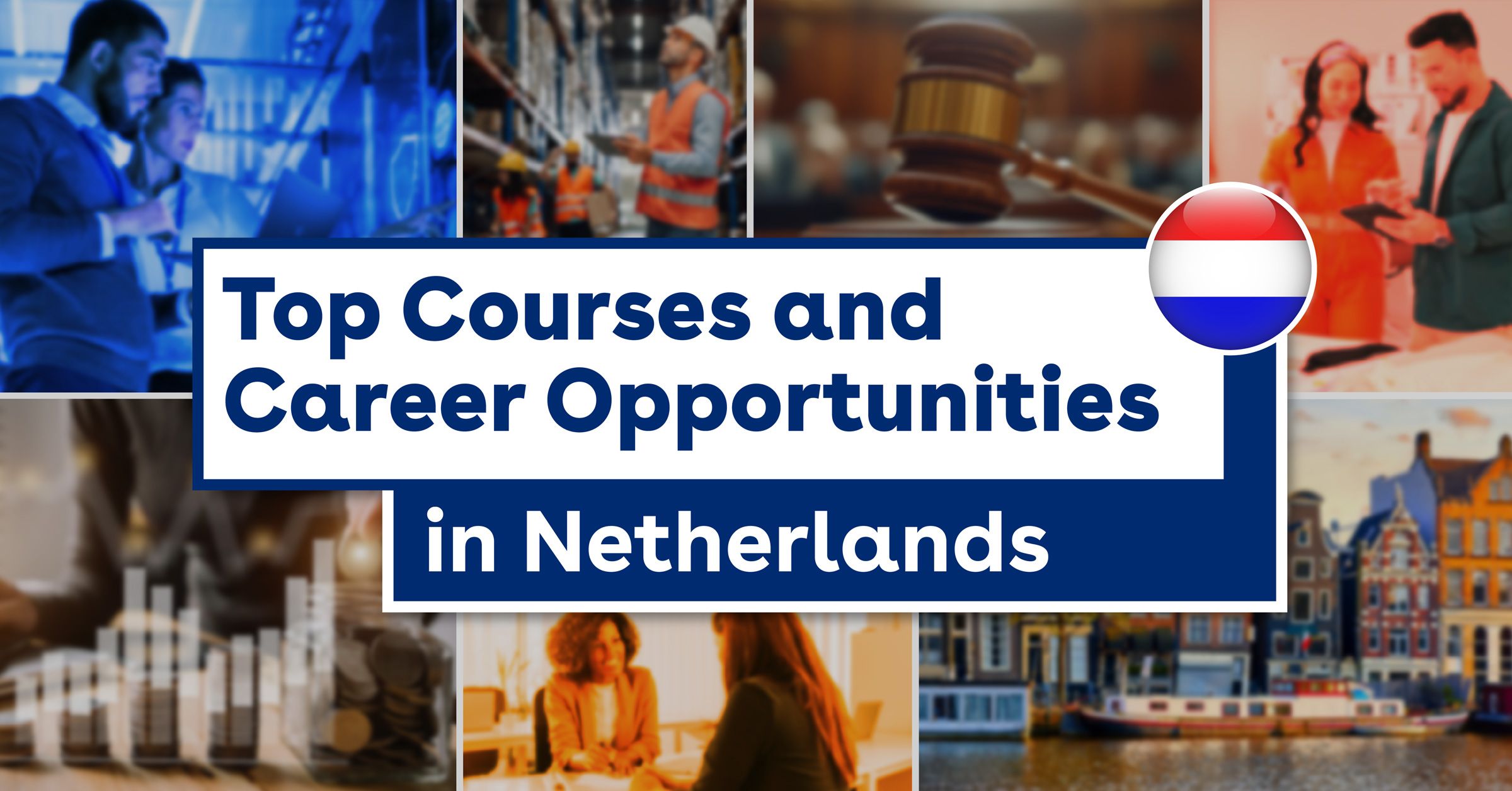 Study and Work Opportunities in Netherlands: Courses & Careers 2025