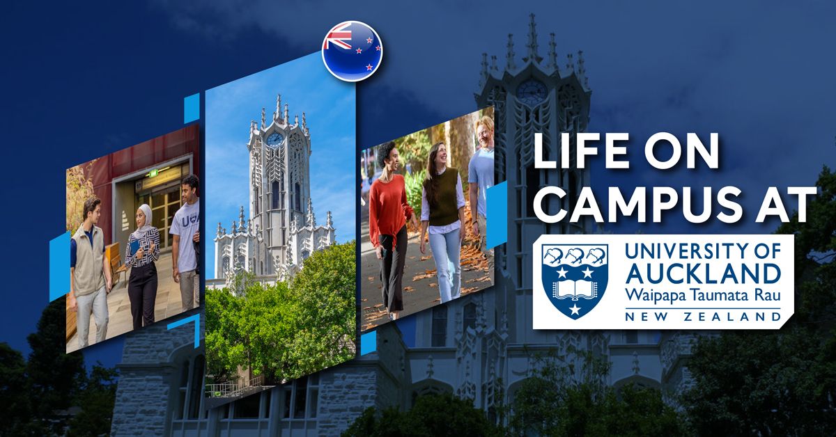 Life of a Student at University of Auckland